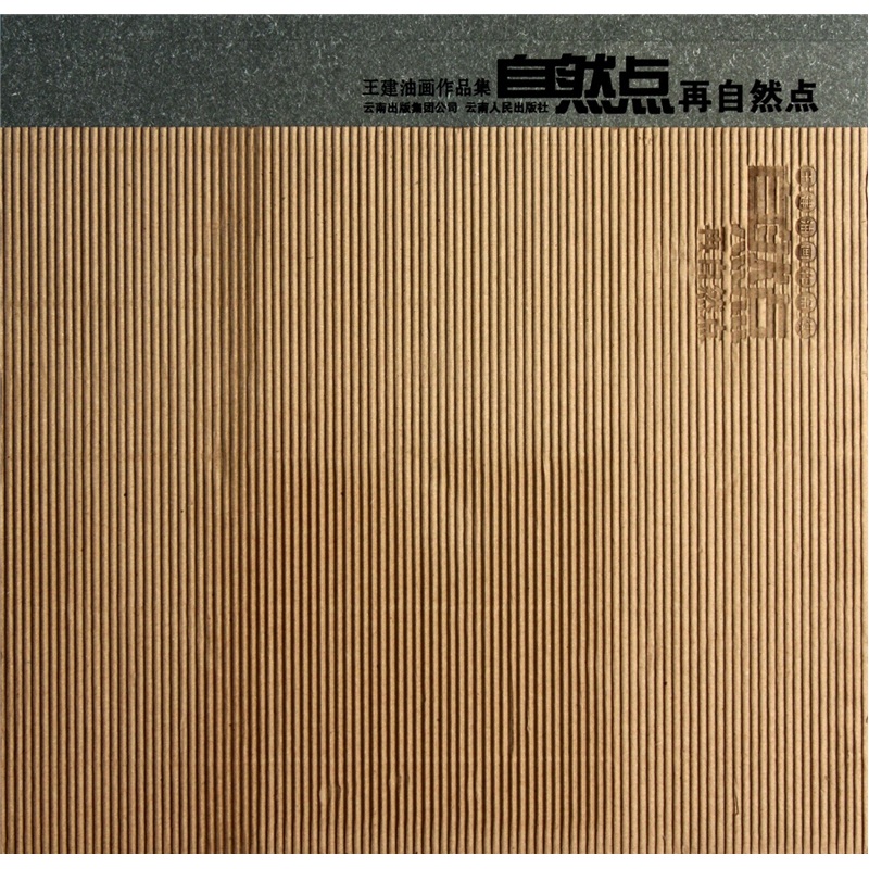 王建油画作品集：自然点 再自然点