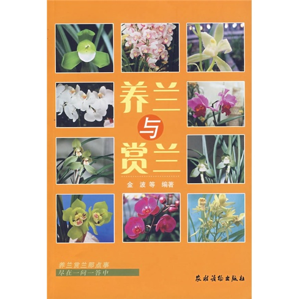 生活百叶：养兰与赏兰