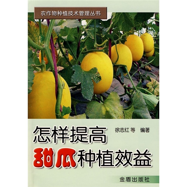 怎样提高甜瓜种植效益