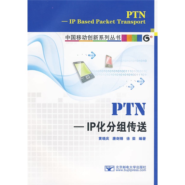 PTNIP化分组传送