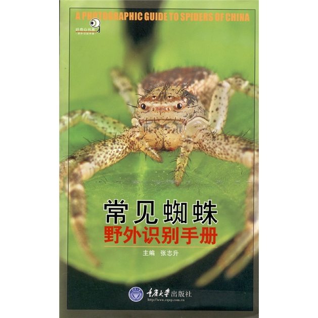 好奇心书系·野外识别手册：常见蜘蛛野外识别手册