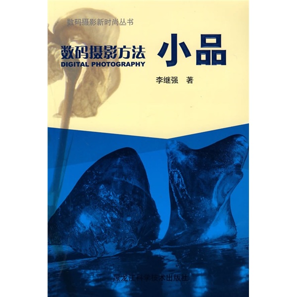 数码摄影方法：小品