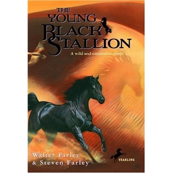The Young Black Stallion