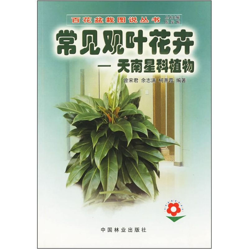 常见观叶花卉：天南星科植物