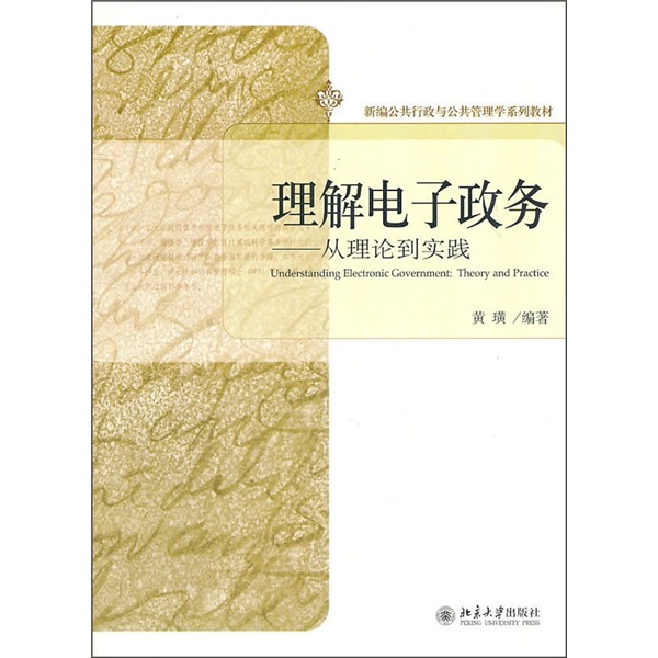 理解电子政务：从理论到实践