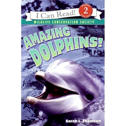 Amazing Dolphins! 进口儿童绘本