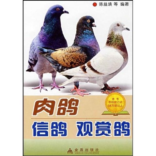 肉鸽信鸽观赏鸽