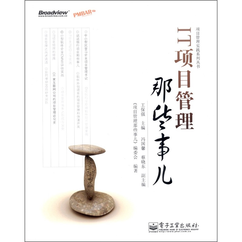 IT项目管理那些事儿(博文视点出品)