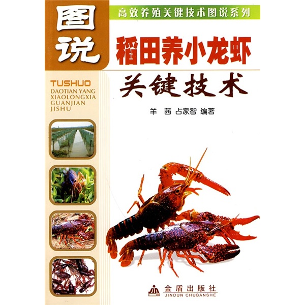 图说稻田养小龙虾关键技术