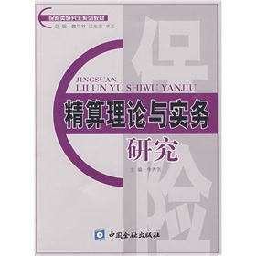 精算理论与实务研究