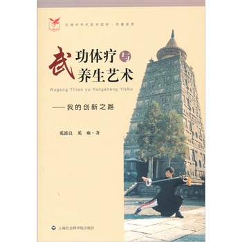 武功体疗与养生艺术：我的创新之路