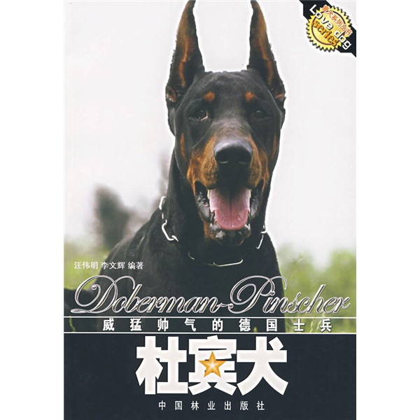 杜宾犬