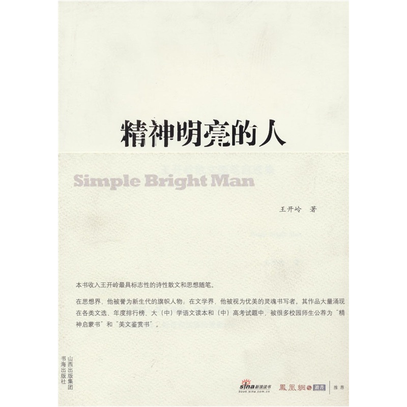 精神明亮的人：王开岭散文随笔自选集
