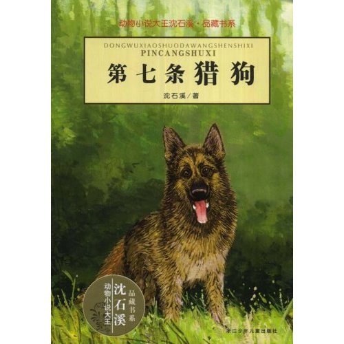 动物小说大王沈石溪·品藏书系：第七条猎狗