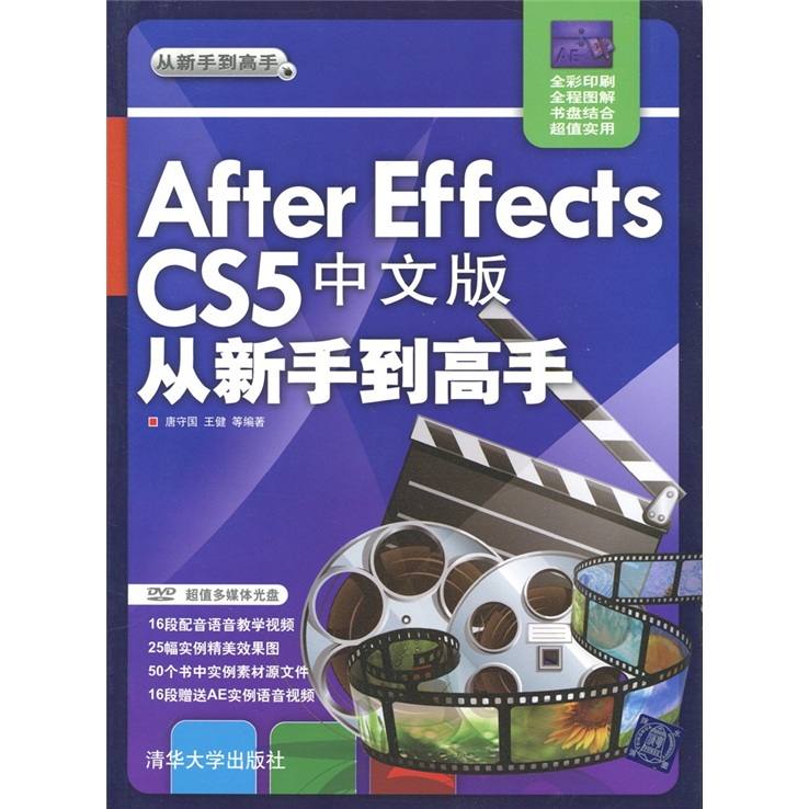 After Effects CS5 中文版从新手到高手（附DVD-ROM光盘1张）
