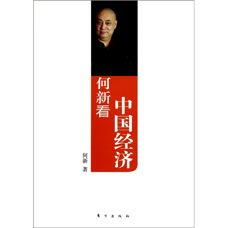 何新看中国经济