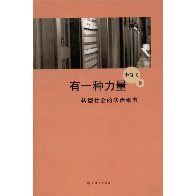有一种力量：转型社会的法治细节