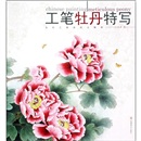工笔牡丹特写
