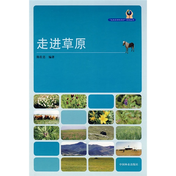 走进草原