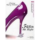 5克拉的Mr.Right