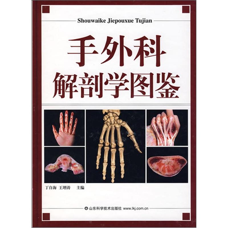 手外科解剖学图鉴
