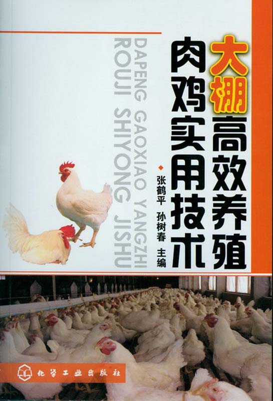 大棚高效养殖肉鸡实用技术