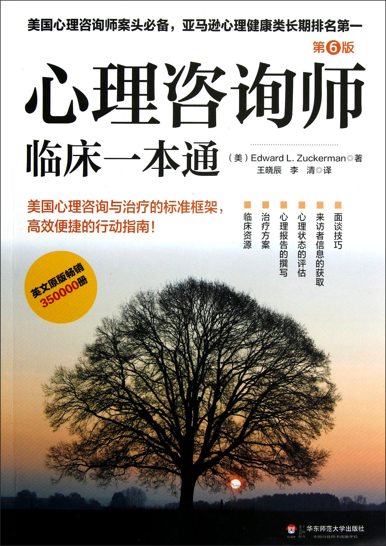心理咨询师临床一本通（第6版）