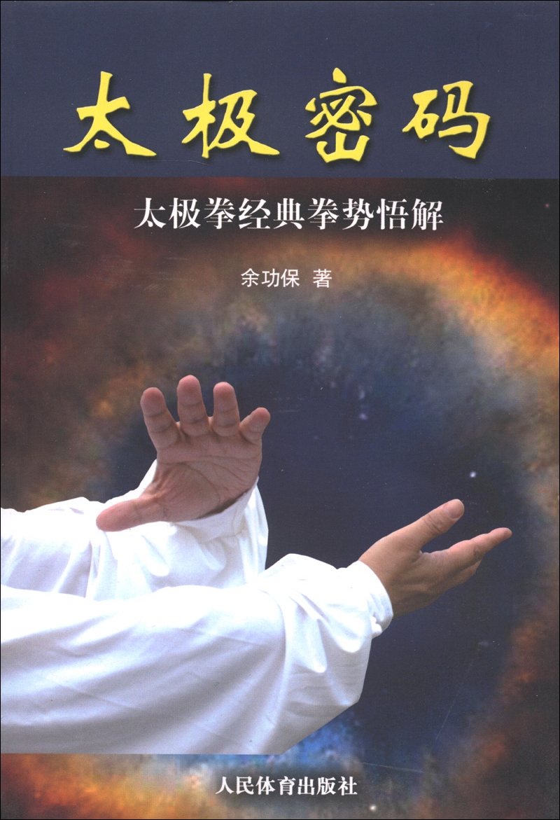 太极密码：太极拳经典拳势悟解