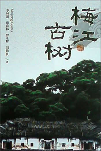 梅江古树