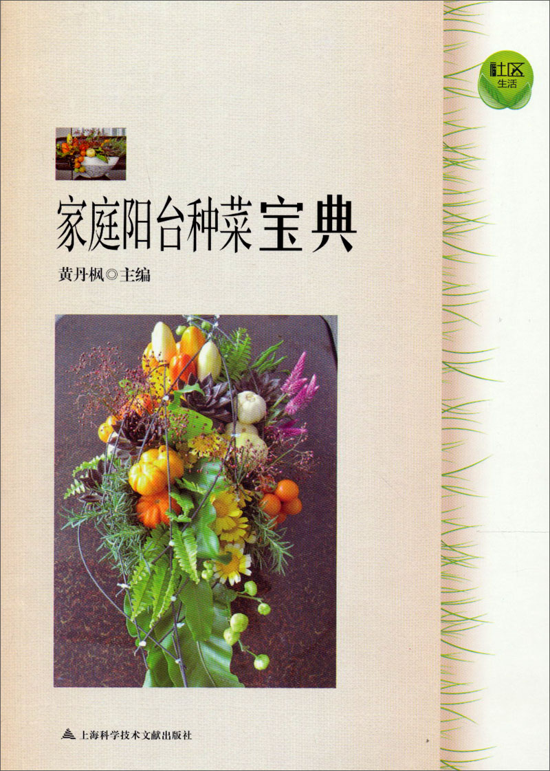 家庭阳台种菜宝典