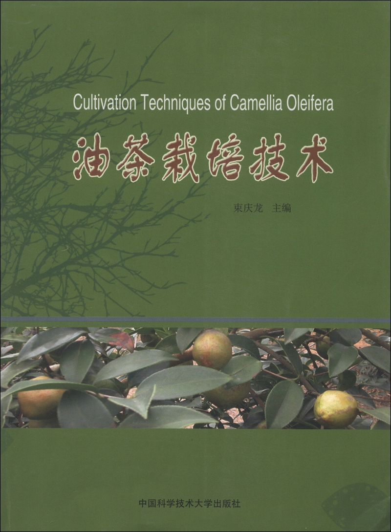 油茶栽培技术