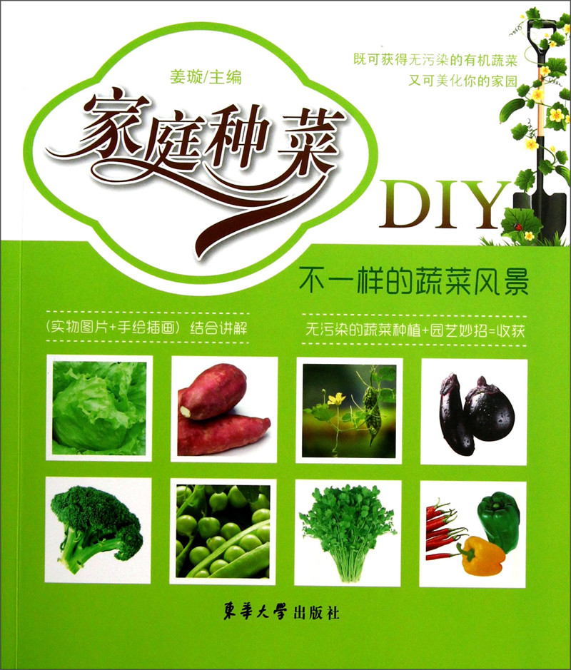 家庭种菜DIY：不一样的蔬菜风景