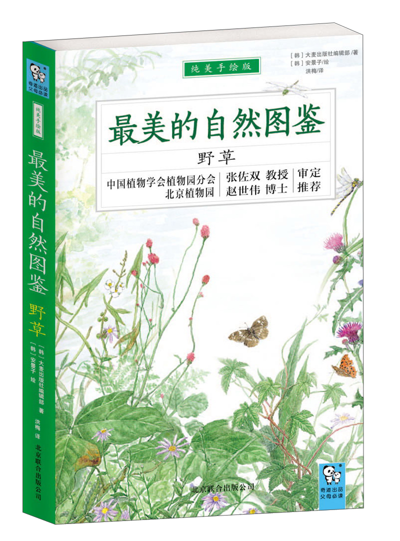 最美的自然图鉴：野草（纯美手绘版）