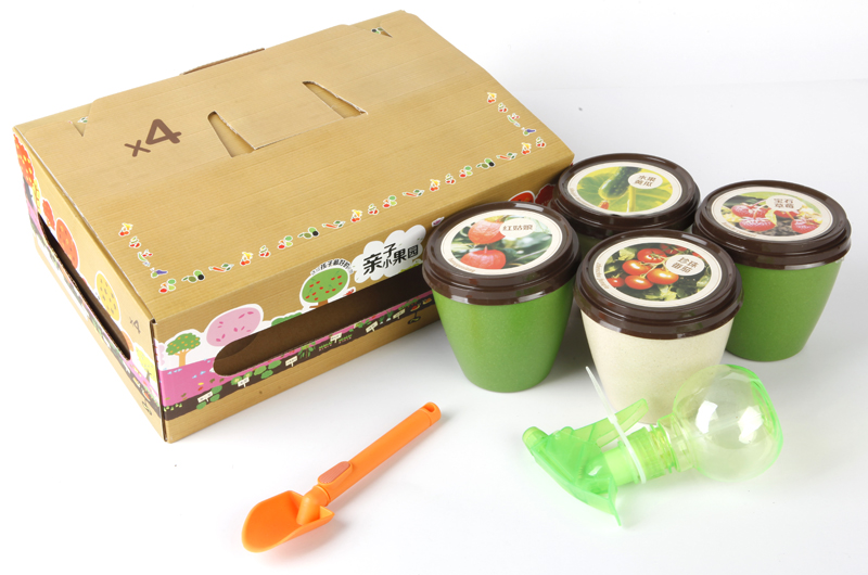 亲子小果园（珍珠番茄、红姑娘、水果黄瓜、宝石草莓）