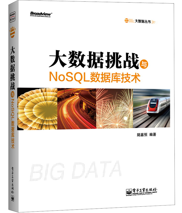大数据挑战与NoSQL数据库技术(博文视点出品)