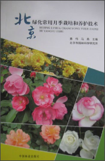 北京绿化常用月季栽培和养护技术