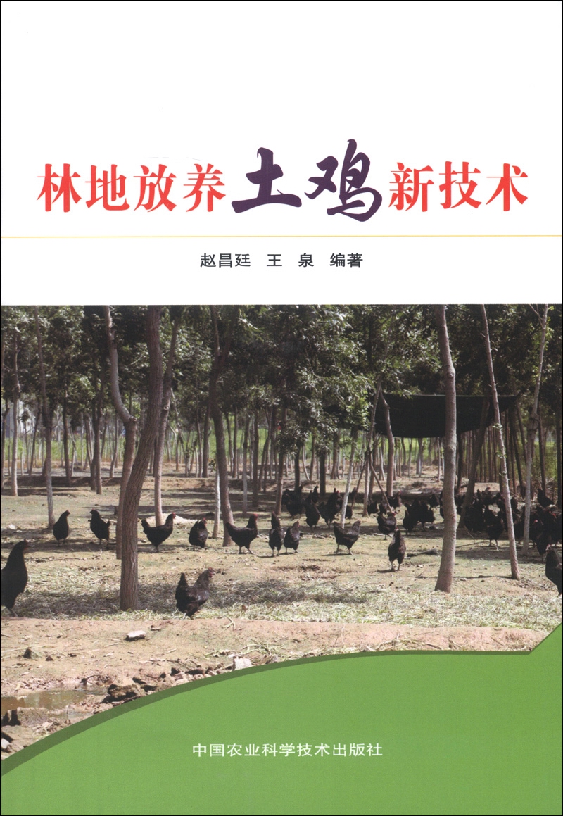 林地放养土鸡新技术