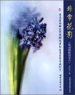 非常花影(摇动相机拍花卉)