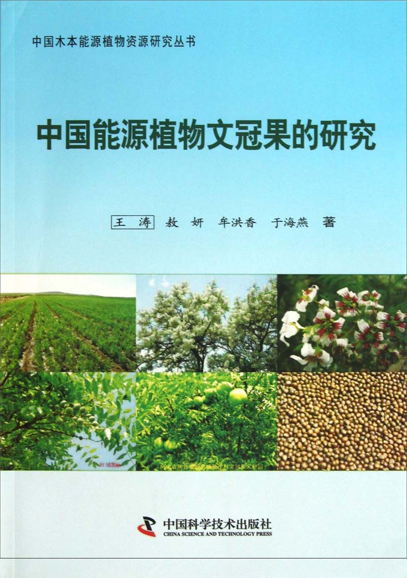 中国木本能源植物资源研究丛书：中国能源植物文冠果的研究