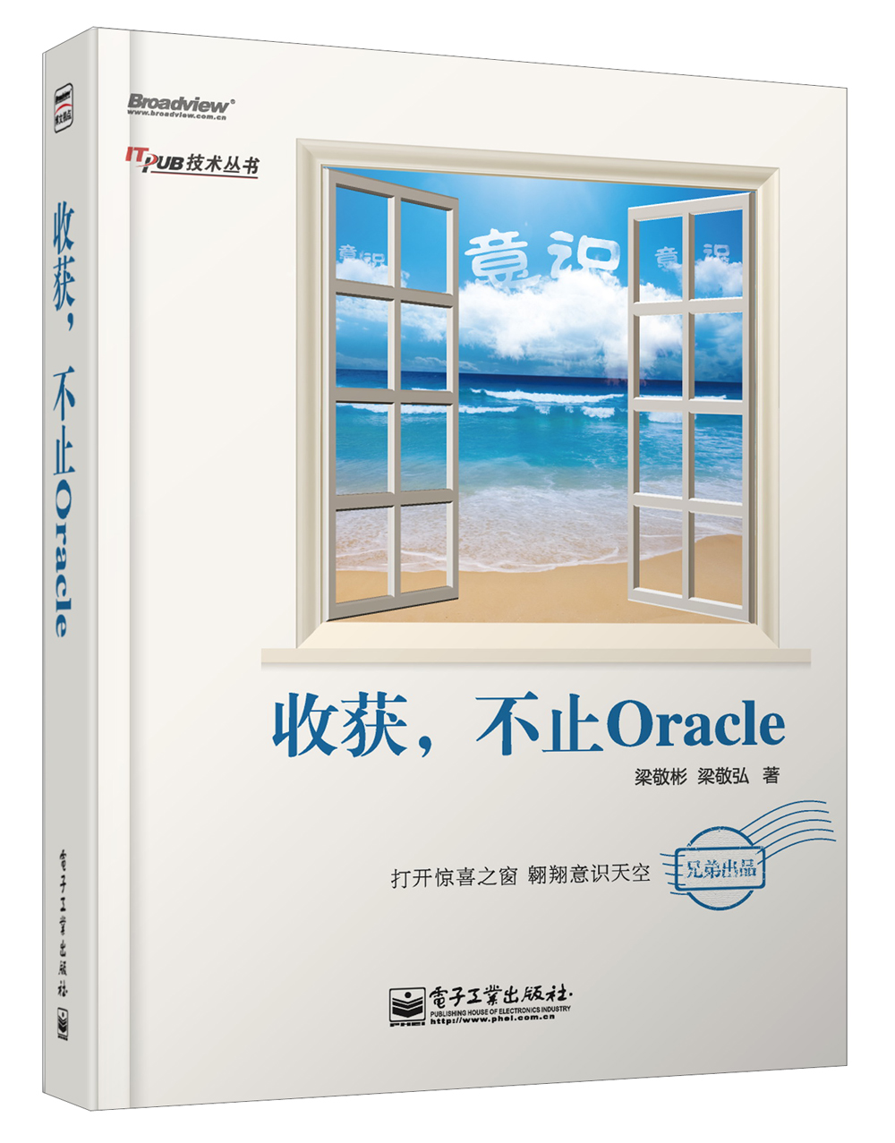 收获，不止Oracle(博文视点出品)