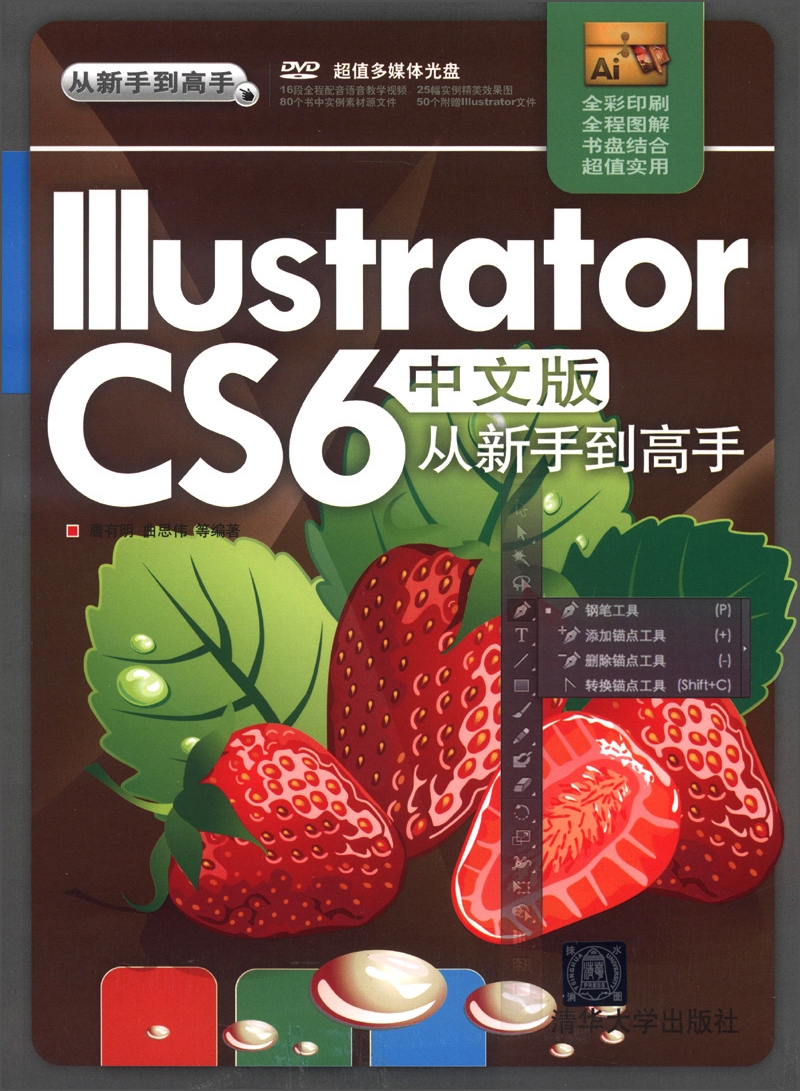从新手到高手：Illustrator CS6中文版从新手到高手（附DVD-ROM光盘1张）
