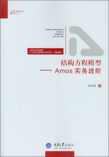 结构方程模型：Amos实务进阶