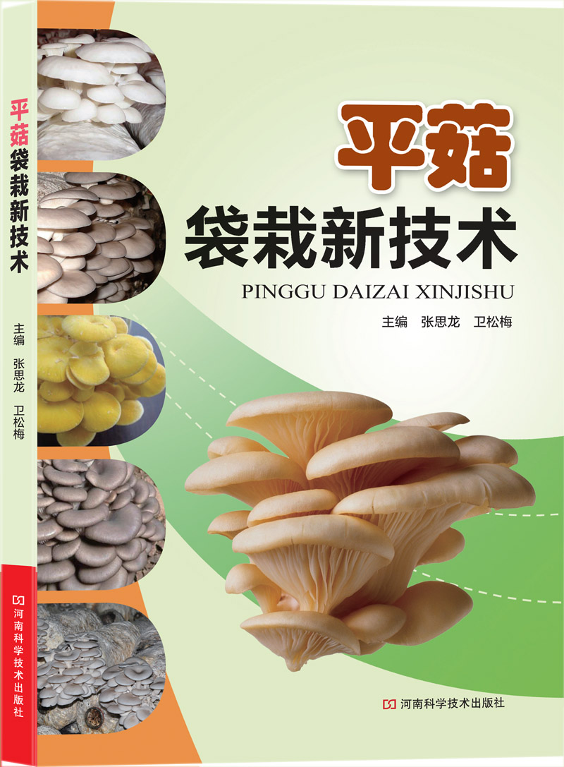 平菇袋栽新技术