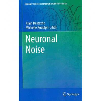 Neuronal Noise