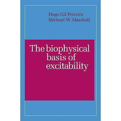 The Biophysical Basis of Excitability