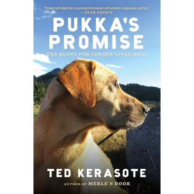 Pukka's Promise: The Quest for Longer-Lived Dogs