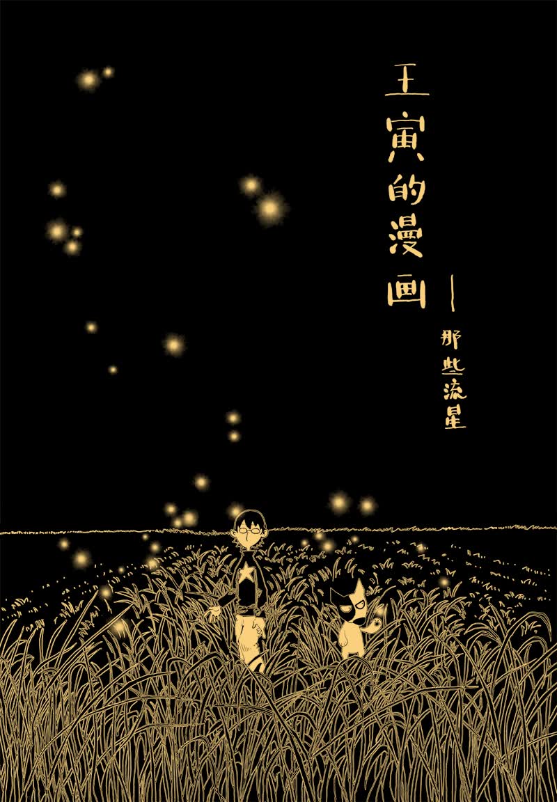 王寅的漫画：那些流星