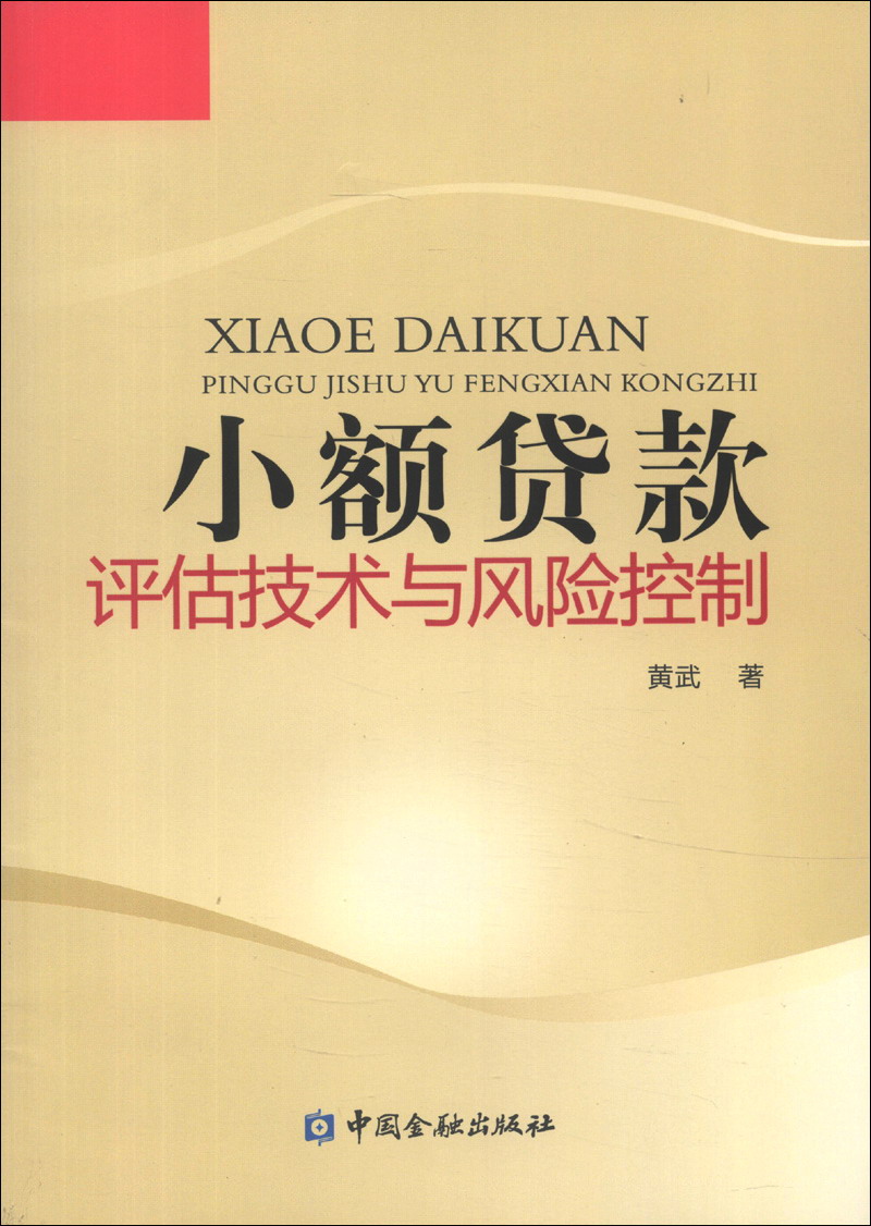 小额贷款评估技术与风险控制
