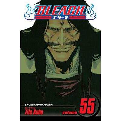 Bleach, Vol. 55: Volume 55