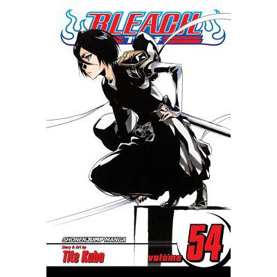 Bleach, Vol. 54: Volume 54